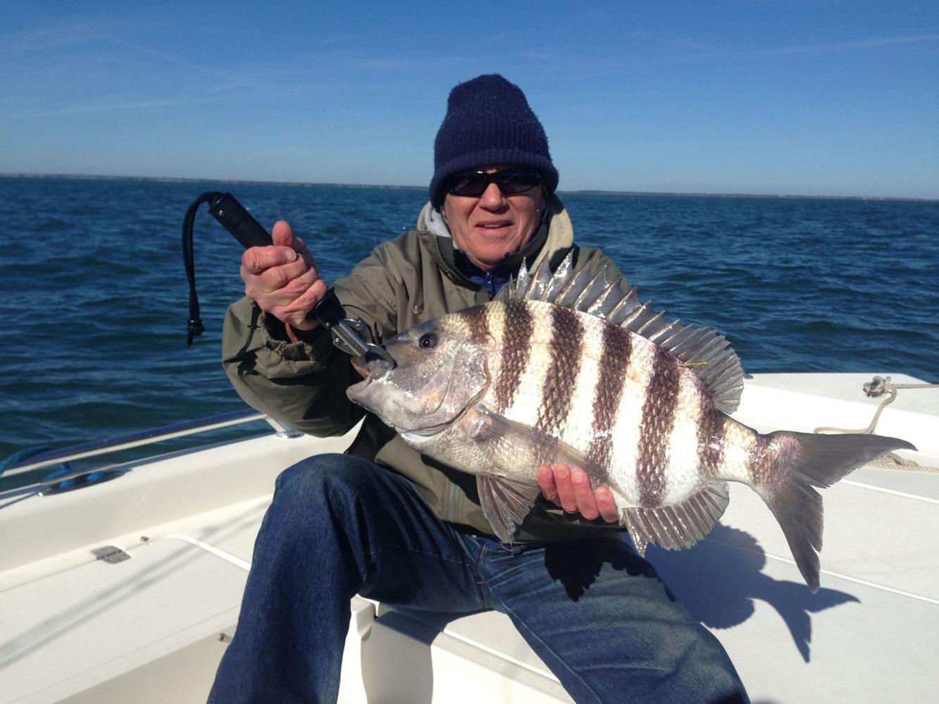 Sheepshead fishing still hot