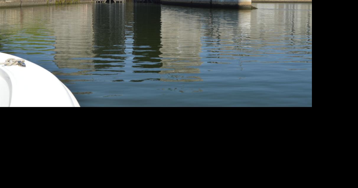 Pinopolis Lock closed for a month