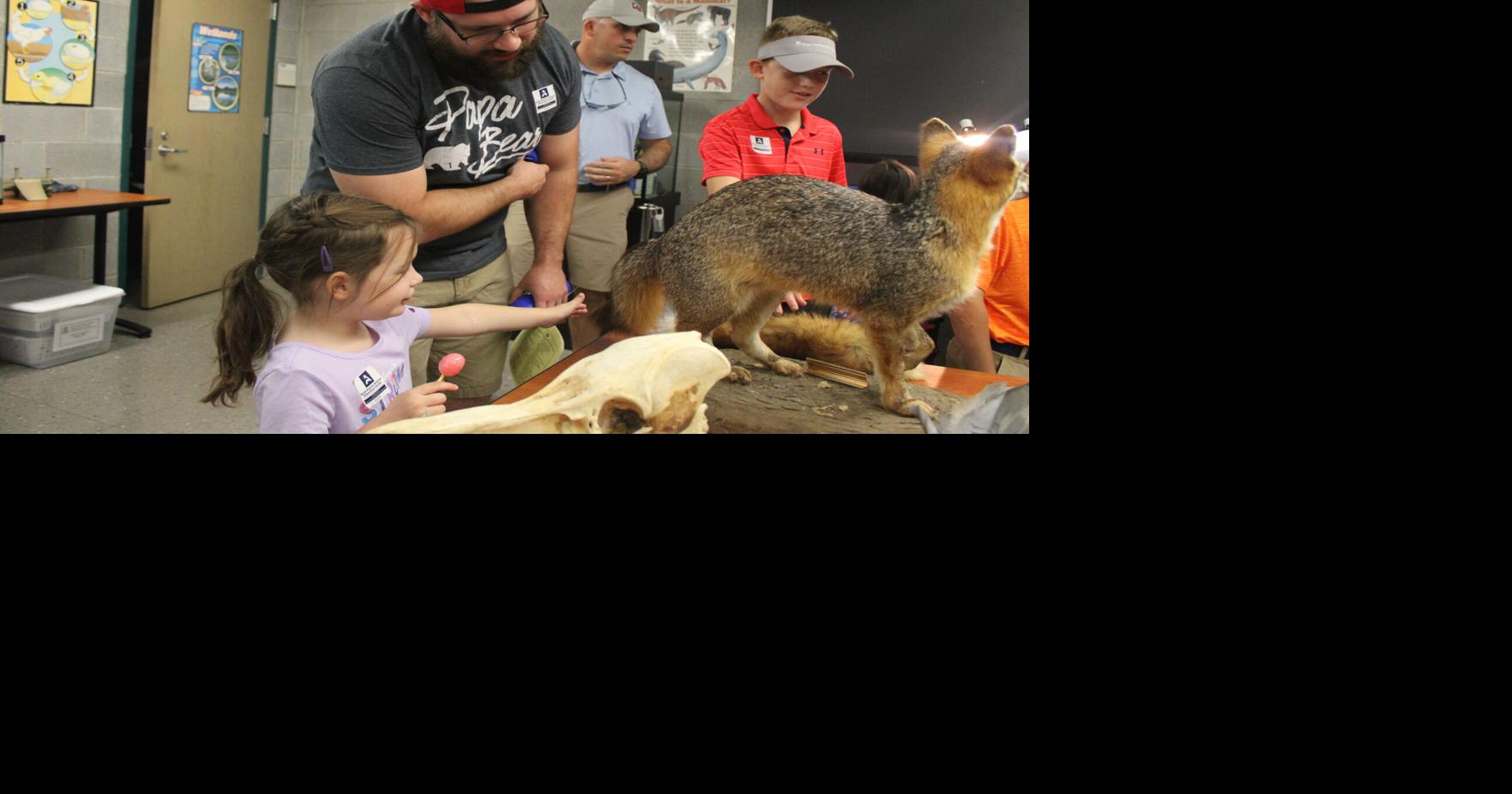 USC Aiken's annual S.E.E.D. STEM Festival highlights science and family fun