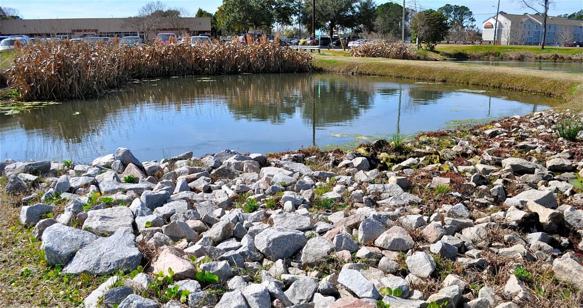 Experts devising ways to make stormwater ponds more natural, functional ...