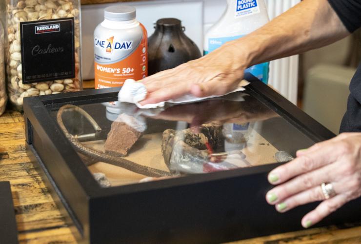 Charleston man traces dad’s path as Jewish WWII POW