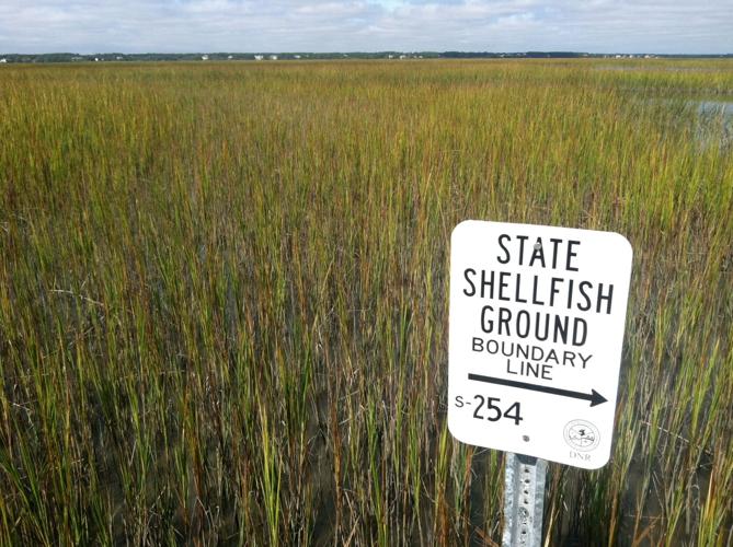 South Carolina shellfish season begins | News | postandcourier.com