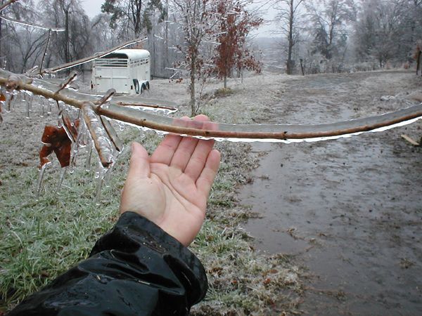 Major ice storm, widespread damage feared for Upstate SC