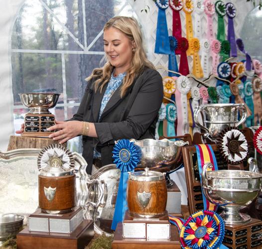 Anderson finds satisfaction in role as Aiken Horse Show co-director ...