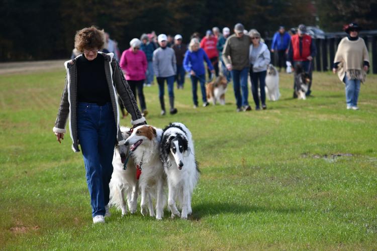 Aiken Fall Steeplechase returning this month; other events planned in ...