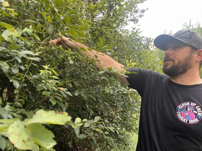 SLED and FBI asked to review investigation of Horry shootout