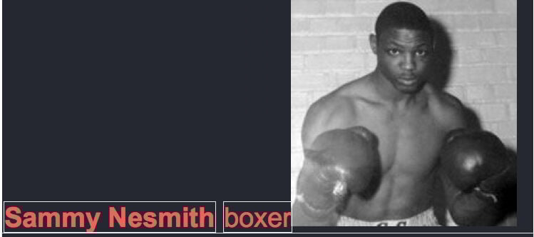 Williamsburg County Black Professional Boxers, Part 1