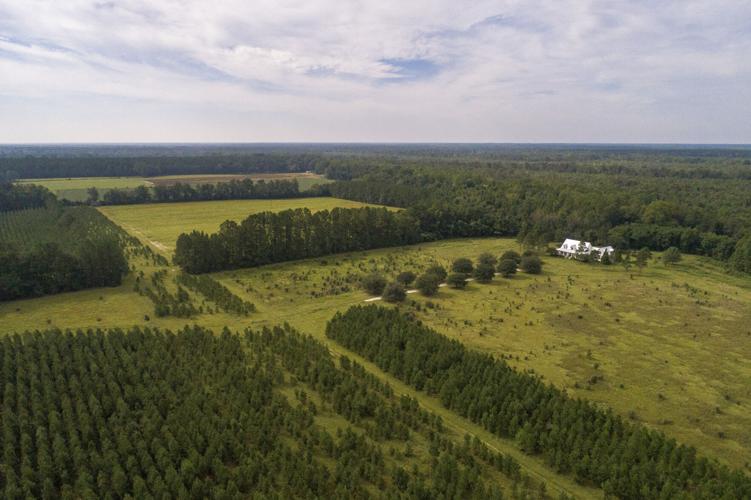 How Alex Murdaugh's debt and apparent overspending ensnared Russell ...