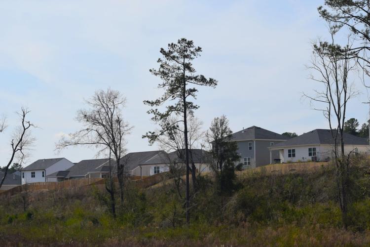 planned rural settlement