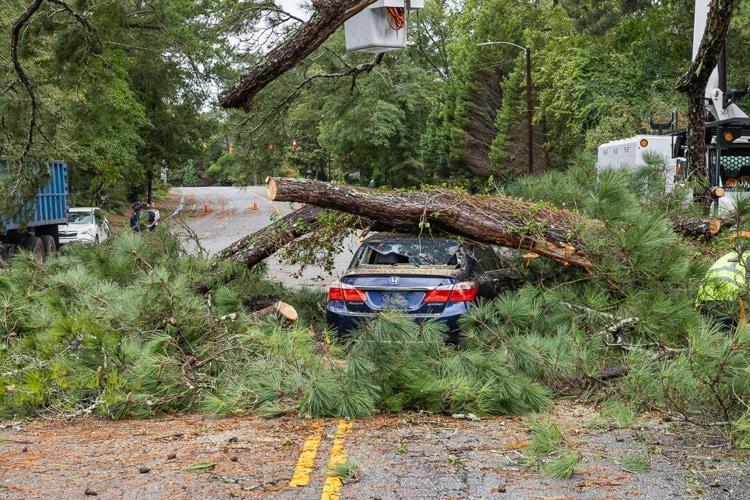 Photos: Helene thrashes Forest Acres near Columbia, downing trees and ...