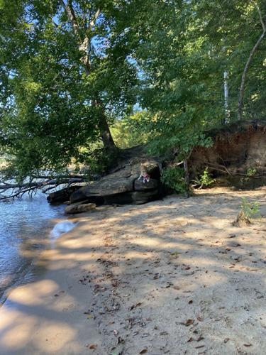 Trails for hikes, biking, running near downtown Clemson, SC | Clemson ...