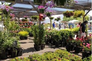 Pee Dee Plant and Flower Festival set for April