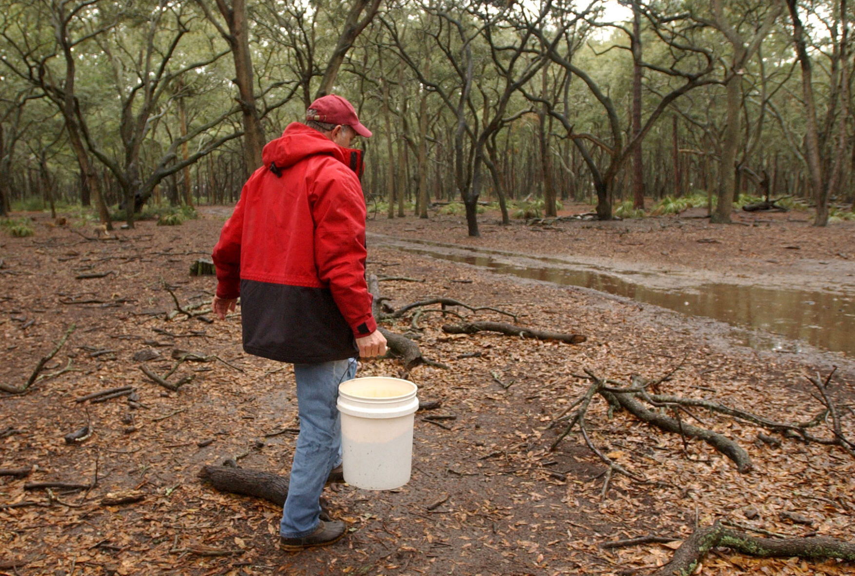 Morgan Island SC may be damaged by monkey, primate colony