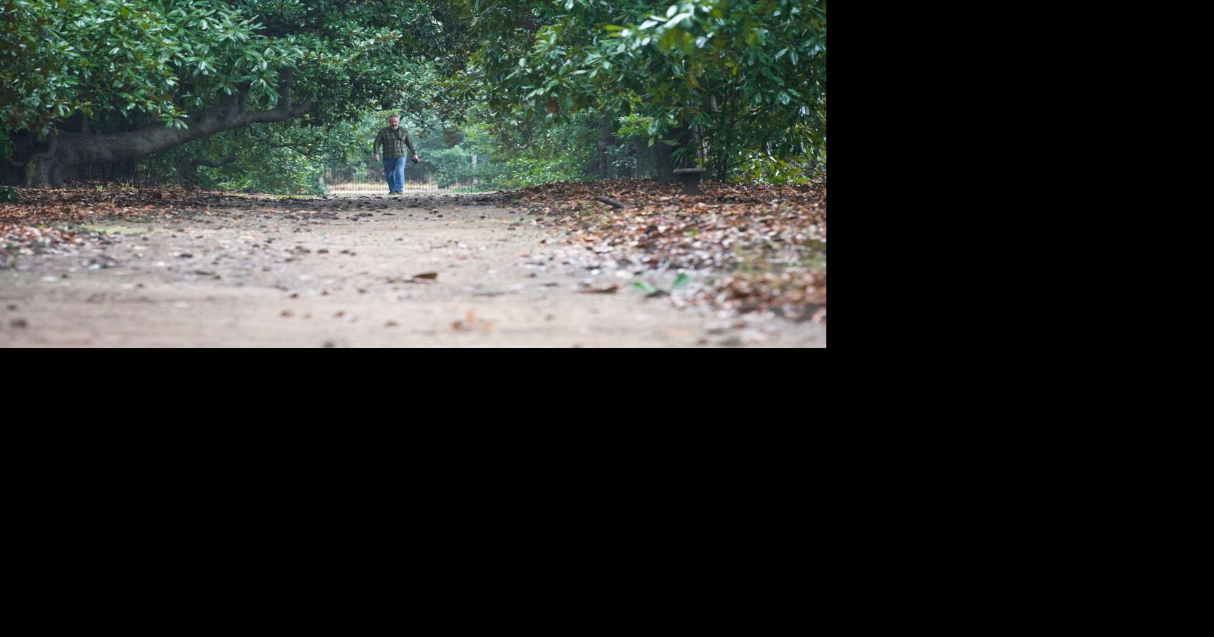 Trek across Redcliffe Plantation offers quiet welcome to 2021