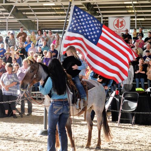 Southern Belle Classic horse auction held at Aiken's Stable View Farms