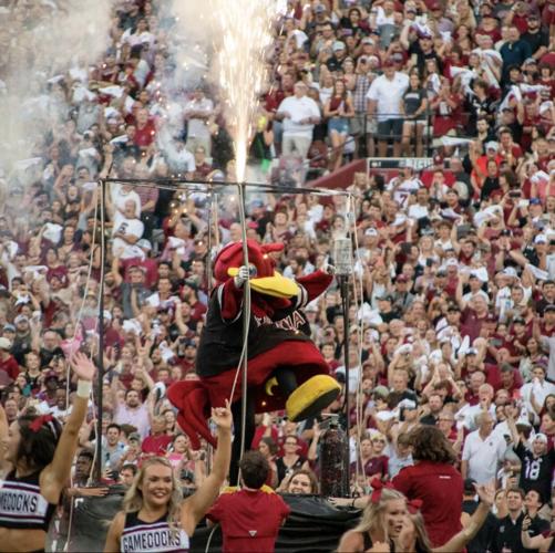 North Augusta native unveiled as USC's mascot at graduation