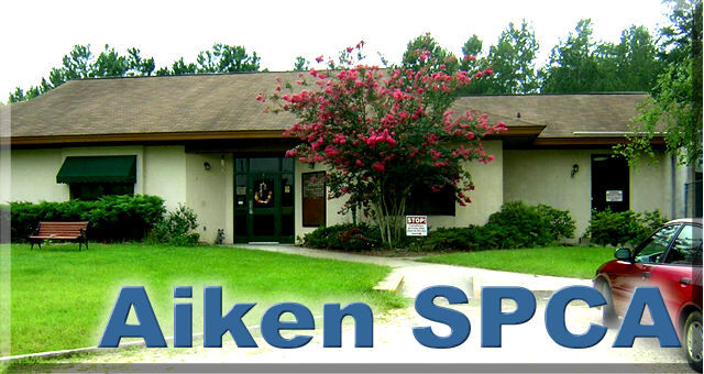 Albrecht SPCA Center celebrates 90 years of Aiken-area aid