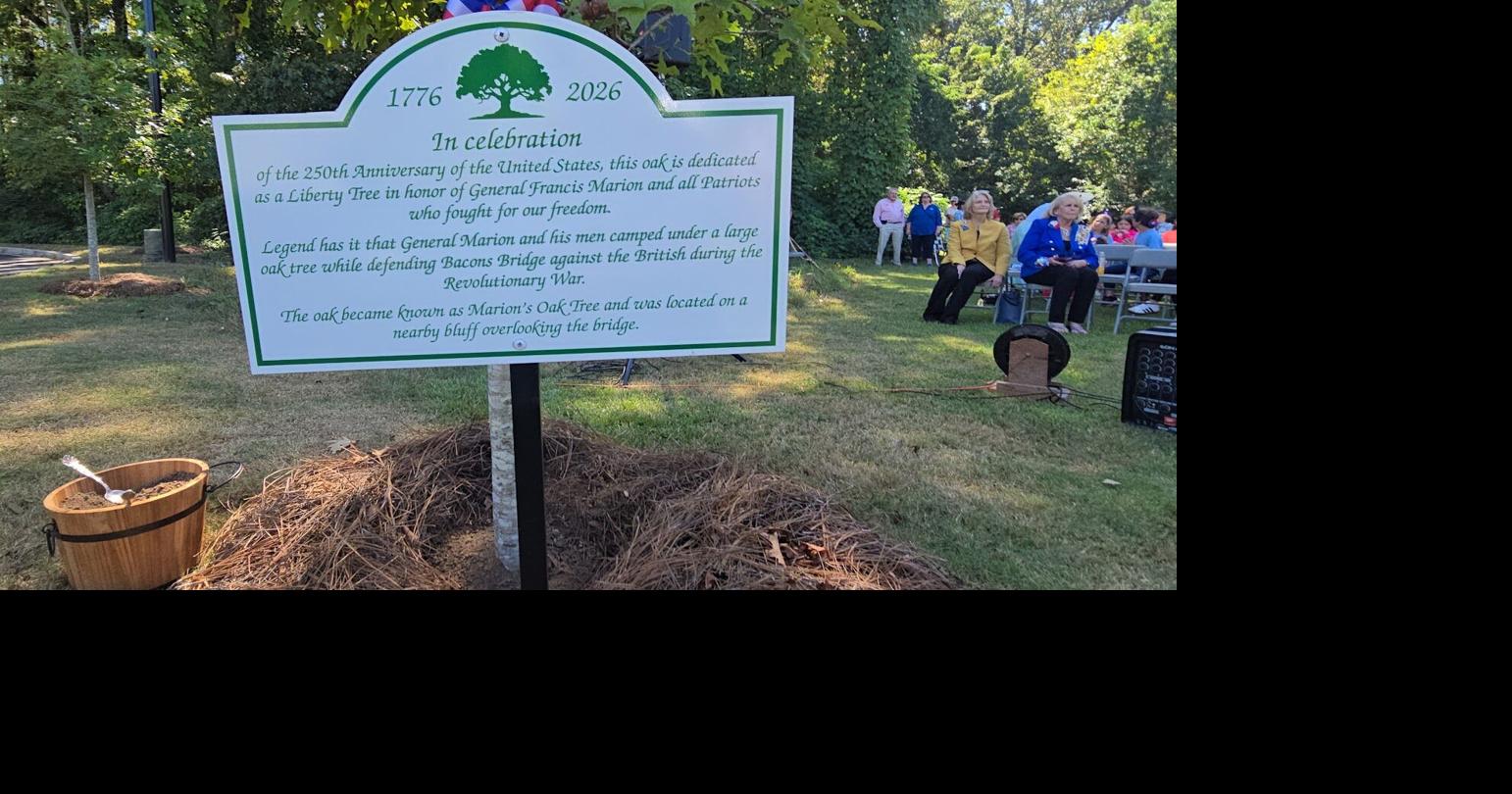 Children explore history at Liberty Tree dedication