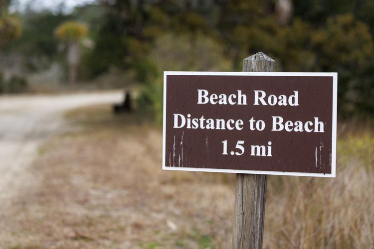 Barrier island weekend trip to Bulls Island near Charleston