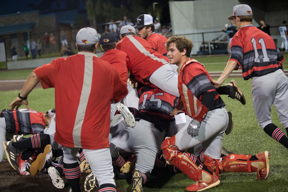 Landsharks come up short in AA state baseball series | Prep Zone ...