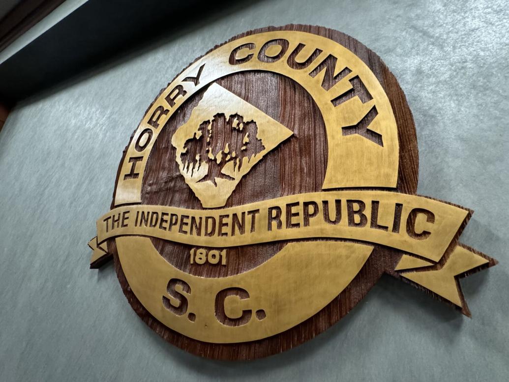 Horry County voters pick council members, school board rep