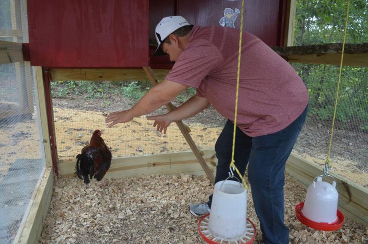 USC mascot Sir Big Spur moves from Aiken to Edgefield