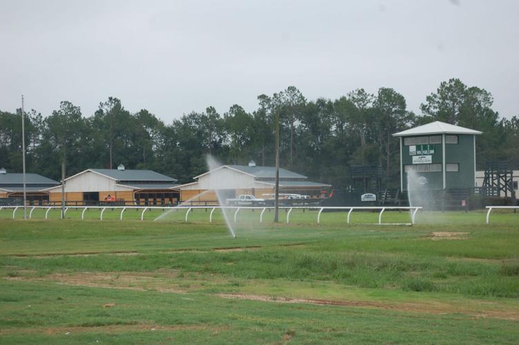 Renovated Bruce’s Field to hold first show Bruce’s Field to become ...