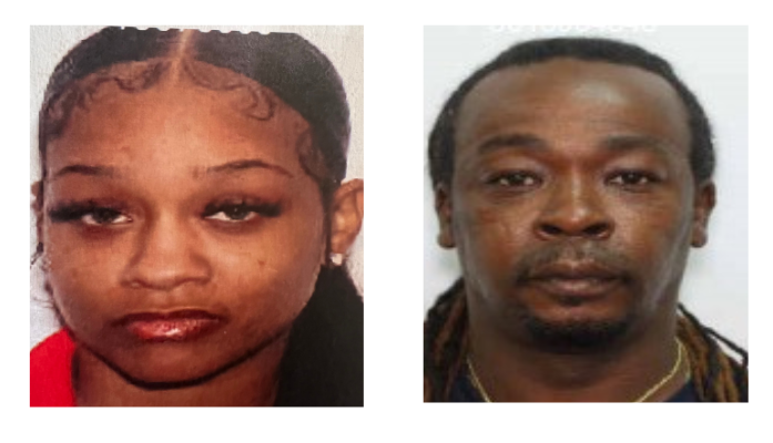 Man wanted in connection to missing Wagener woman in custody