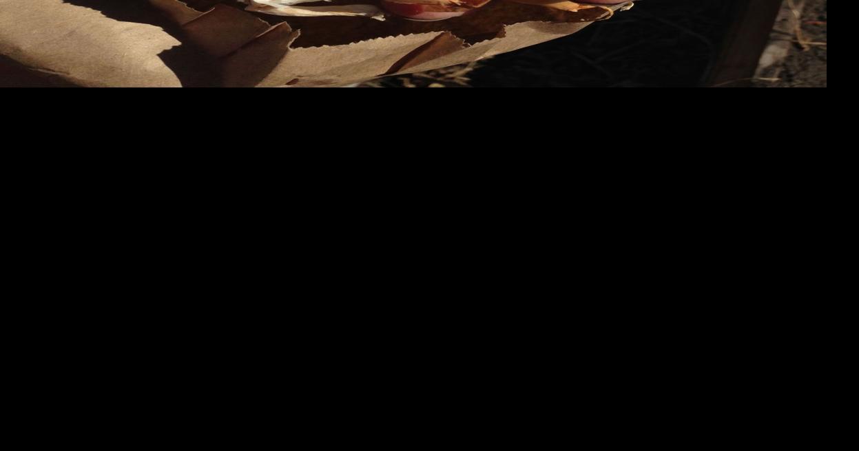 Growing onions during winter Some tips to have a fragrant harvest ...