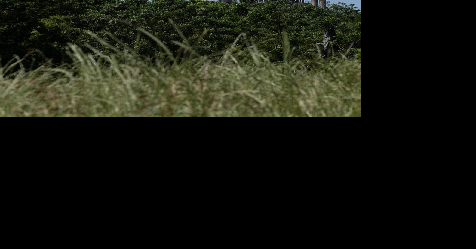 International Paper CEO explains Georgetown mill closure