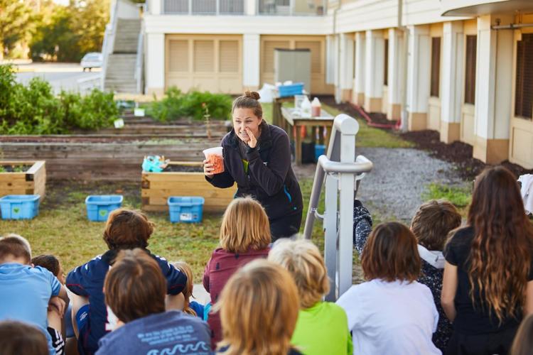The Green Heart Project: Cultivating community through gardening ...