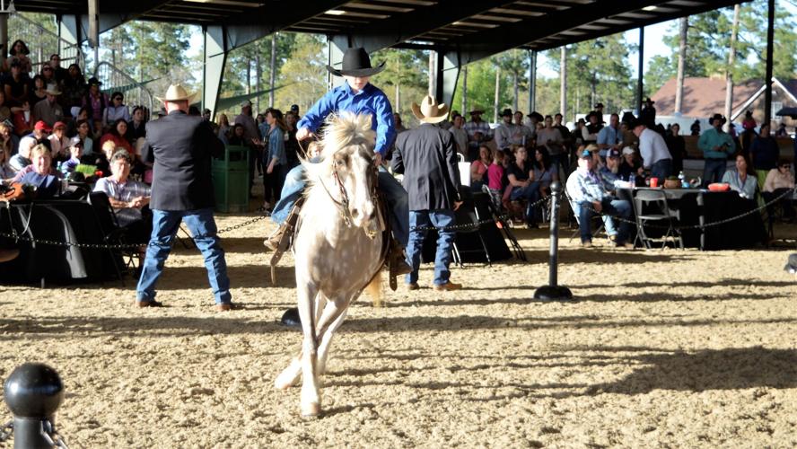 Southern Belle Classic horse auction held at Aiken's Stable View Farms