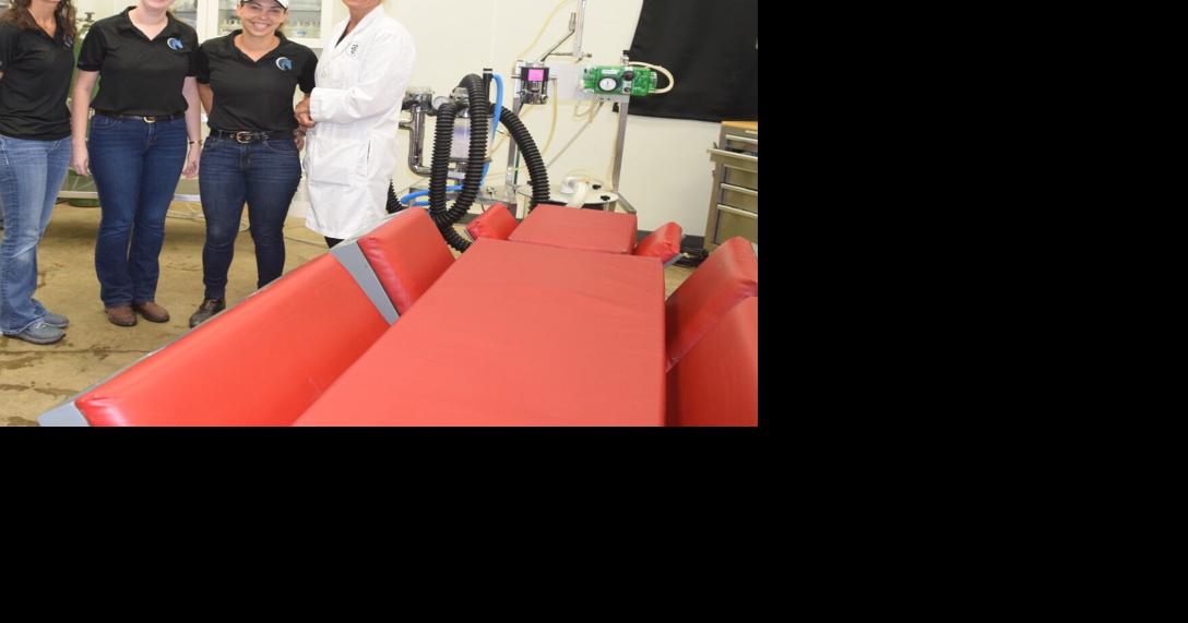 Performance Equine Vets offering expanded services for horses with ...
