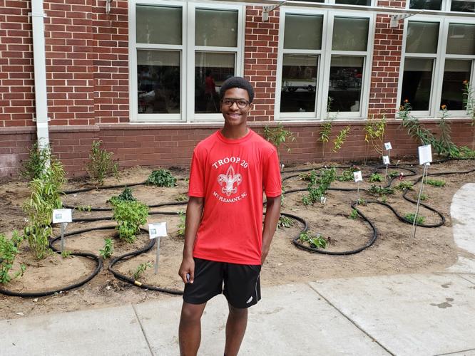 Eagle Scout project creates butterfly garden for Moultrie Middle