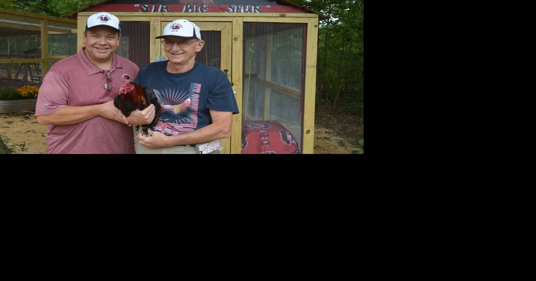 USC mascot Sir Big Spur moves from Aiken to Edgefield