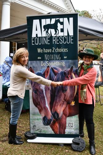 Bloodies and Bagels raises money for Aiken Equine Rescue