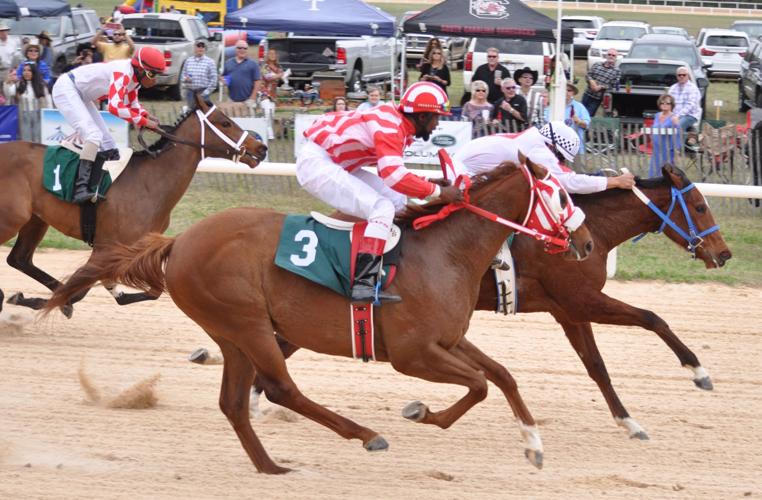 Aiken Training Track helps make horses accessible to everyone