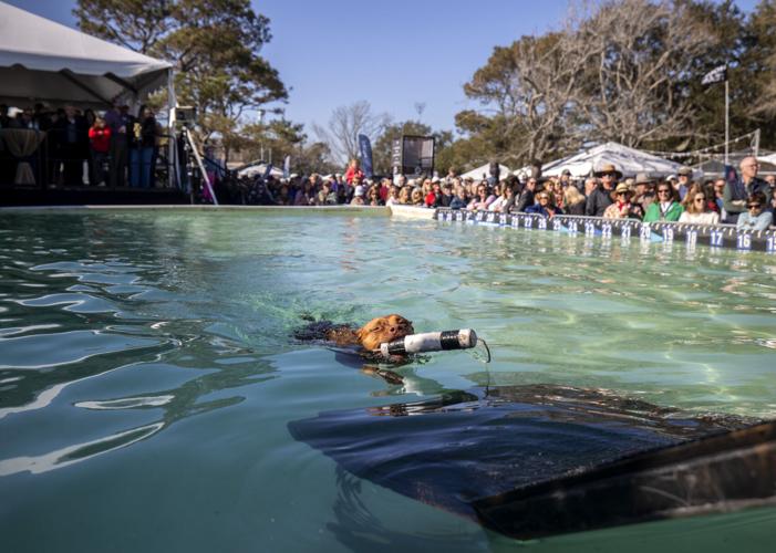 Photos: DockDogs makes a splash at SEWE