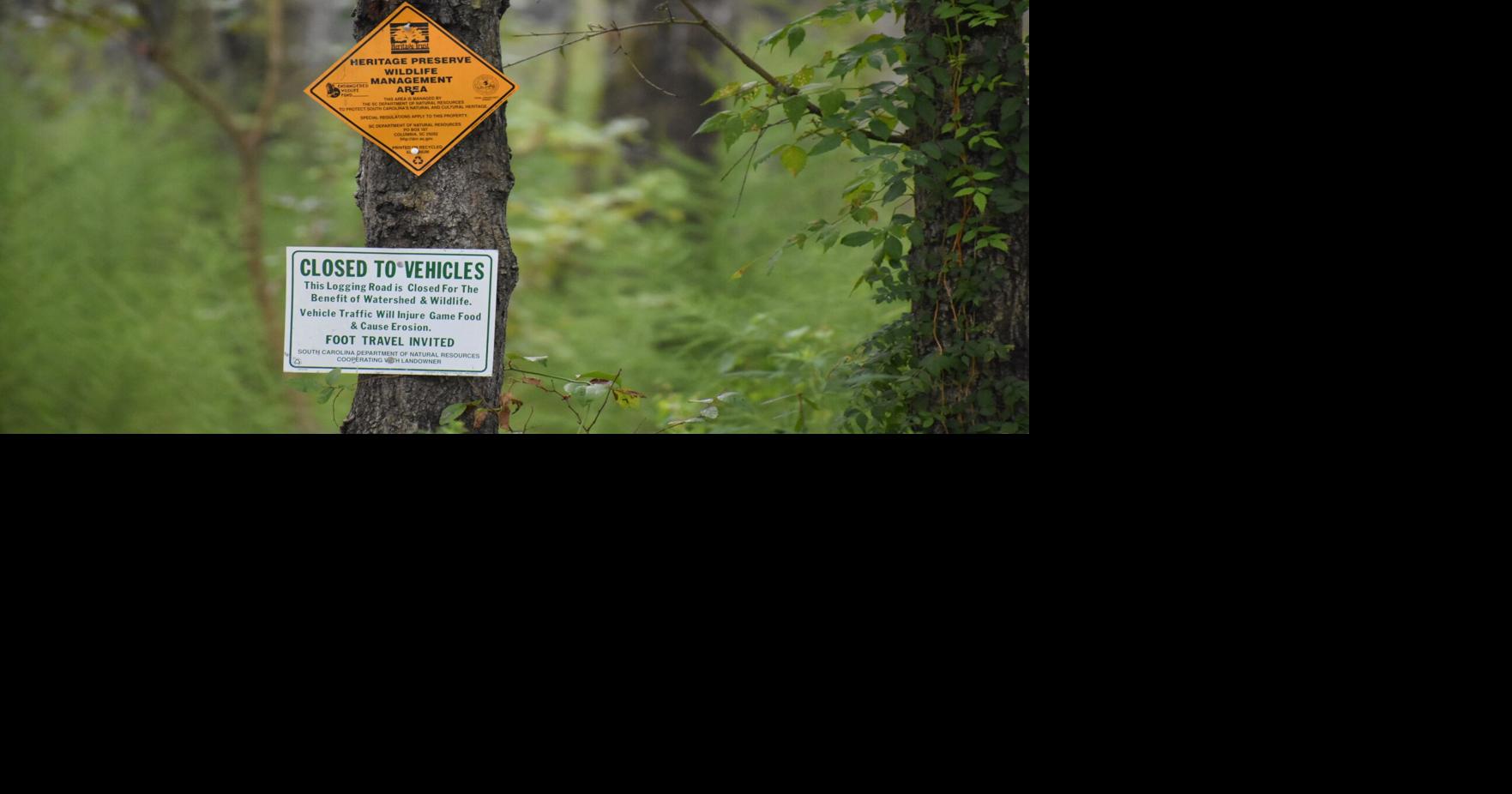 SCDNR looks to purchase 350 acres near Longs to add to existing nature ...