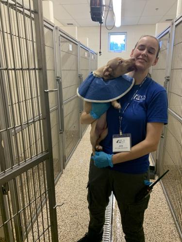 ANIMAL CONNECTION: SPCA staff and volunteers persevere during hard ...
