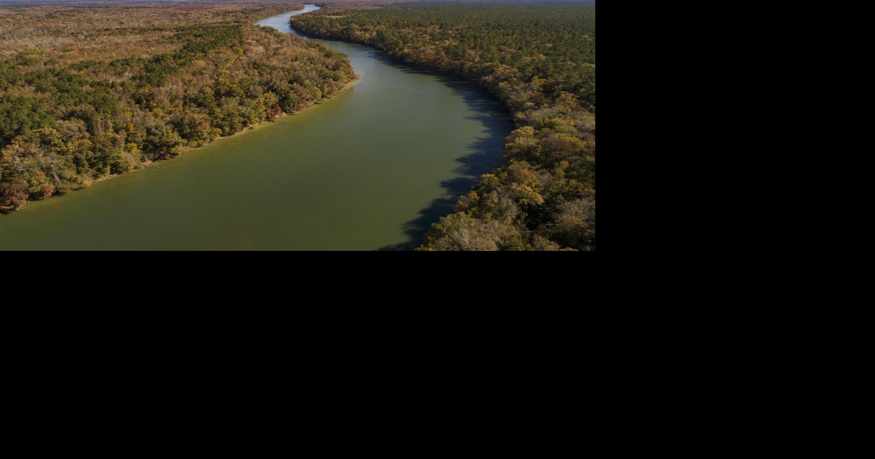 SC's Sonoco sells tens of thousands of acres of timberland in the state