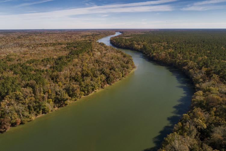 SC's Sonoco sells tens of thousands of acres of timberland in the state