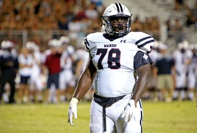 Kickoff 2018: Wando looks to defense for stability | Sports ...
