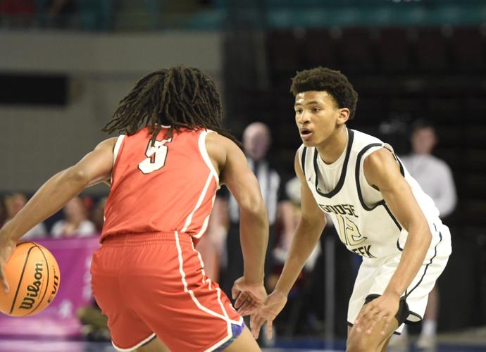 Gators put up fight, fall in double OT