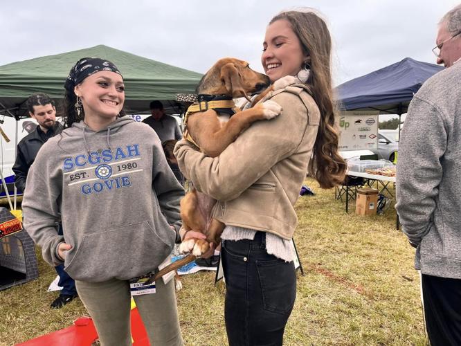 ANIMAL CONNECTION: SPCA staff and volunteers persevere during hard ...