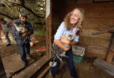 Veteran Jon Darling, back from war, finds a wife and his way on a S.C. farm