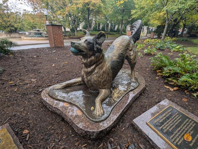 ‘World’s smartest dog’ at center of Upstate trademark fight