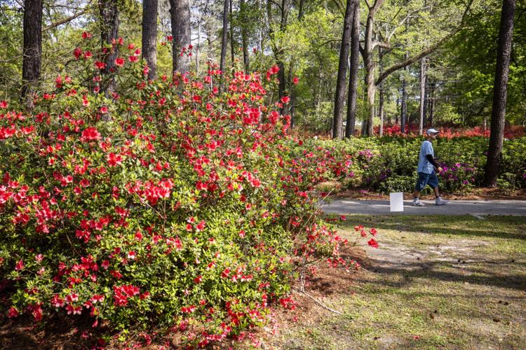 YMCA celebrates 50 years ahead of Flowertown Festival