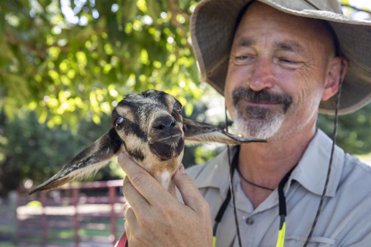 Photos: Farm animals kid around at The Goatery on Kiawah River