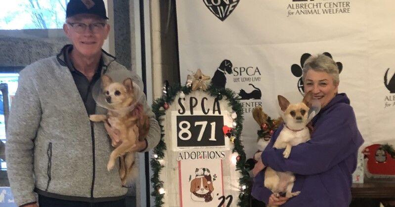 ANIMAL CONNECTION: Embarking on a new journey